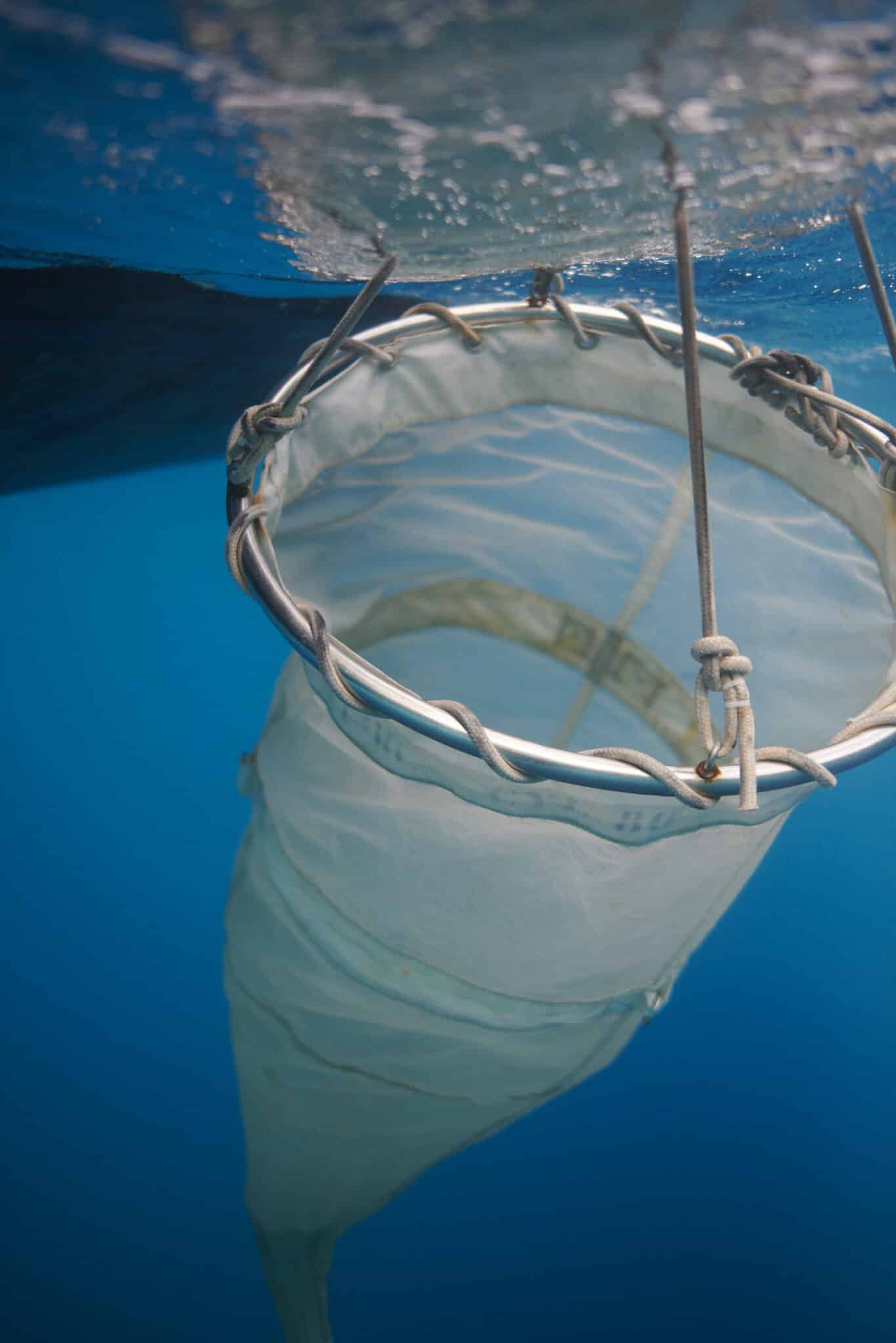 Medtrix | Suivi de la colonne d’eau via la station de recherche STARESO #16