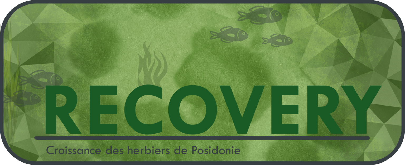 Medtrix | RECOVERY project #18